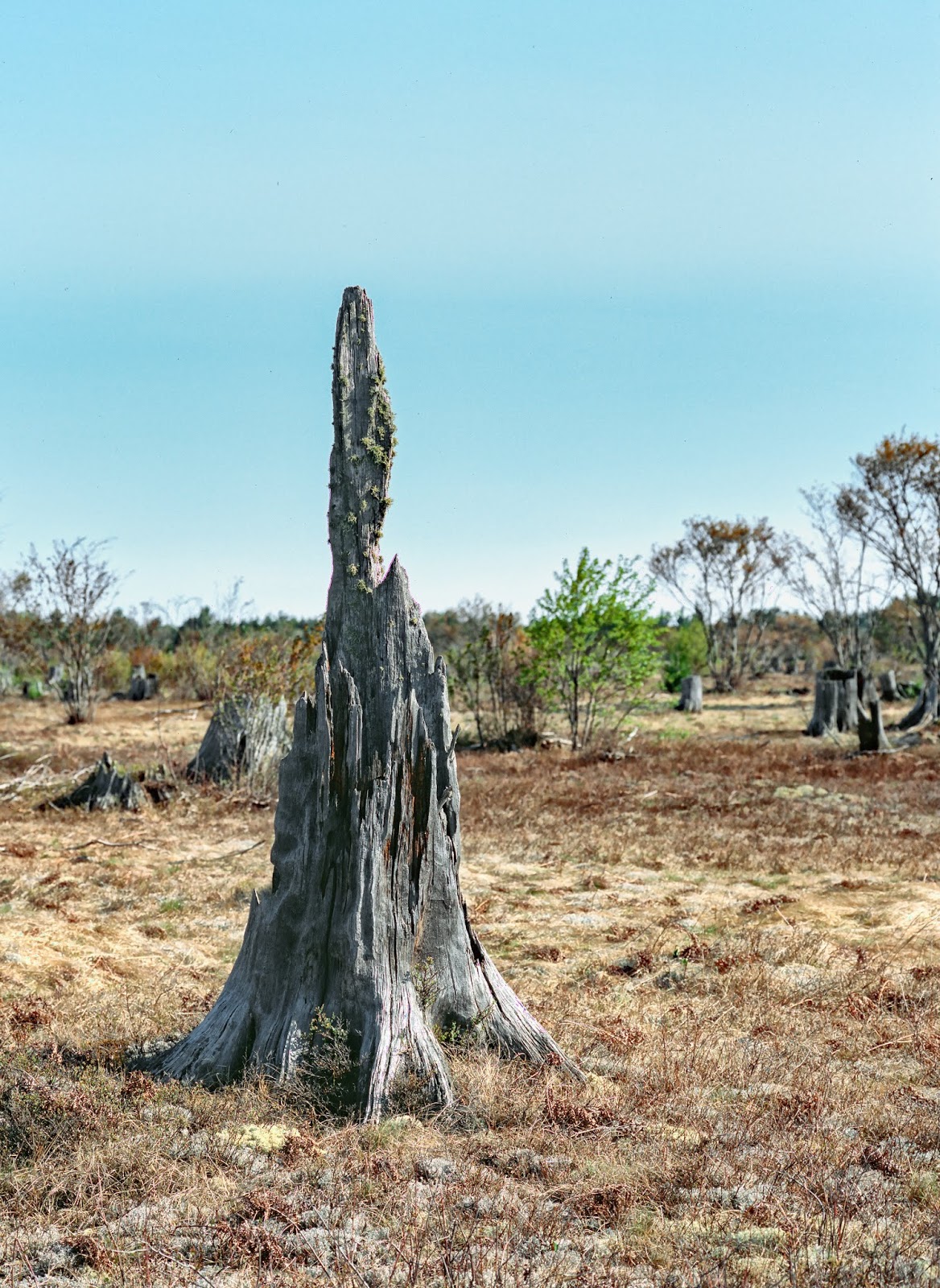 In Search of Perfect Light...: The Kingston Plains Revisited – In ...
