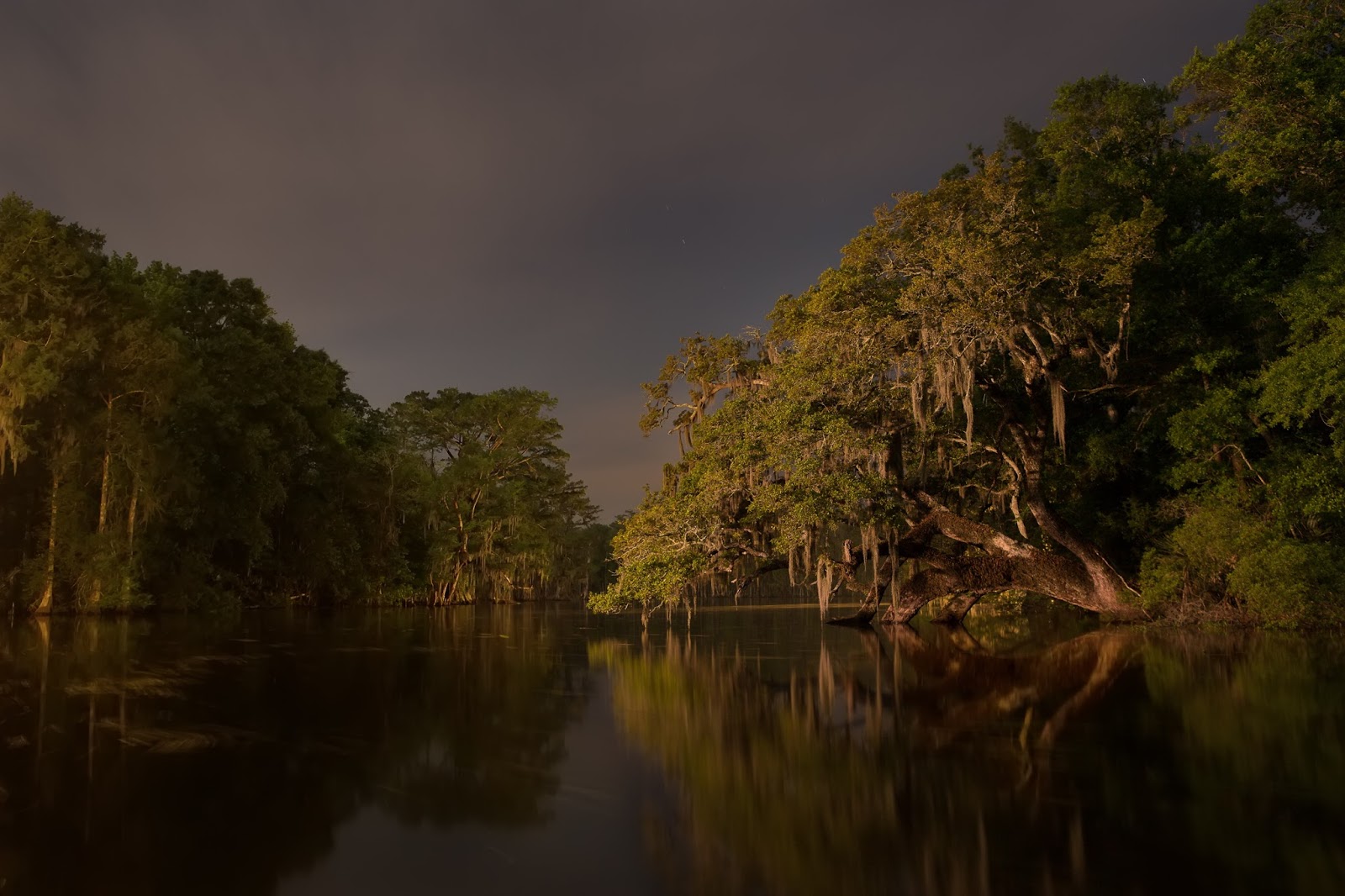 Bayous and Swamps of Louisiana : 2016