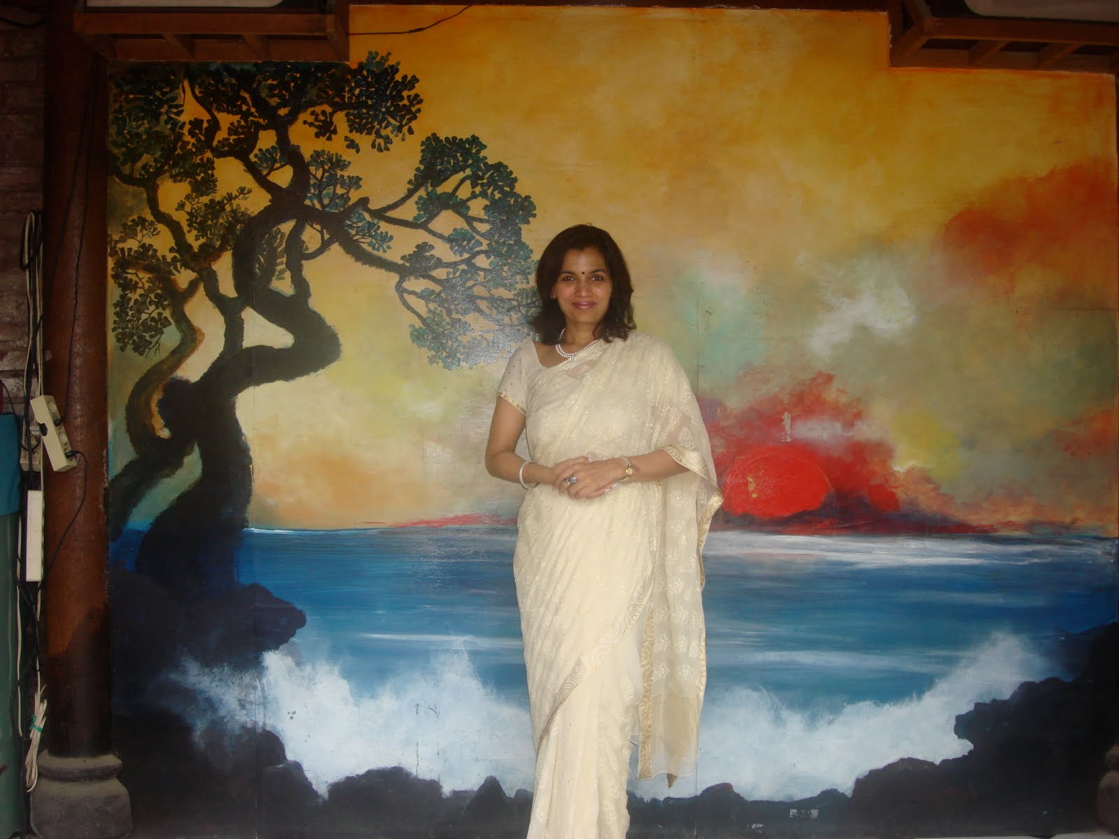 Sohum Sutras: Different Indian saris