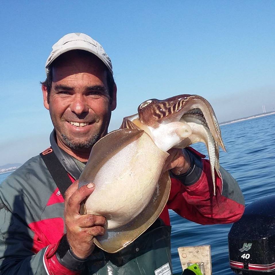 DICAS DO BEJA: As melhores dicas para pescares mais Choco