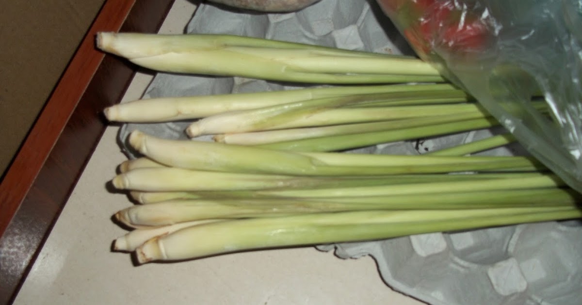 Tanaman Halia: Tanaman Serai.