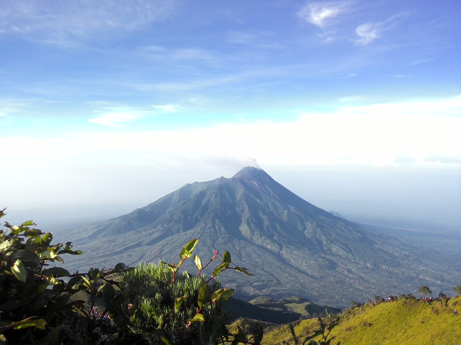 Pendakian Gunung Merbabu 3142 MDPL (via Jalur Wekas)
