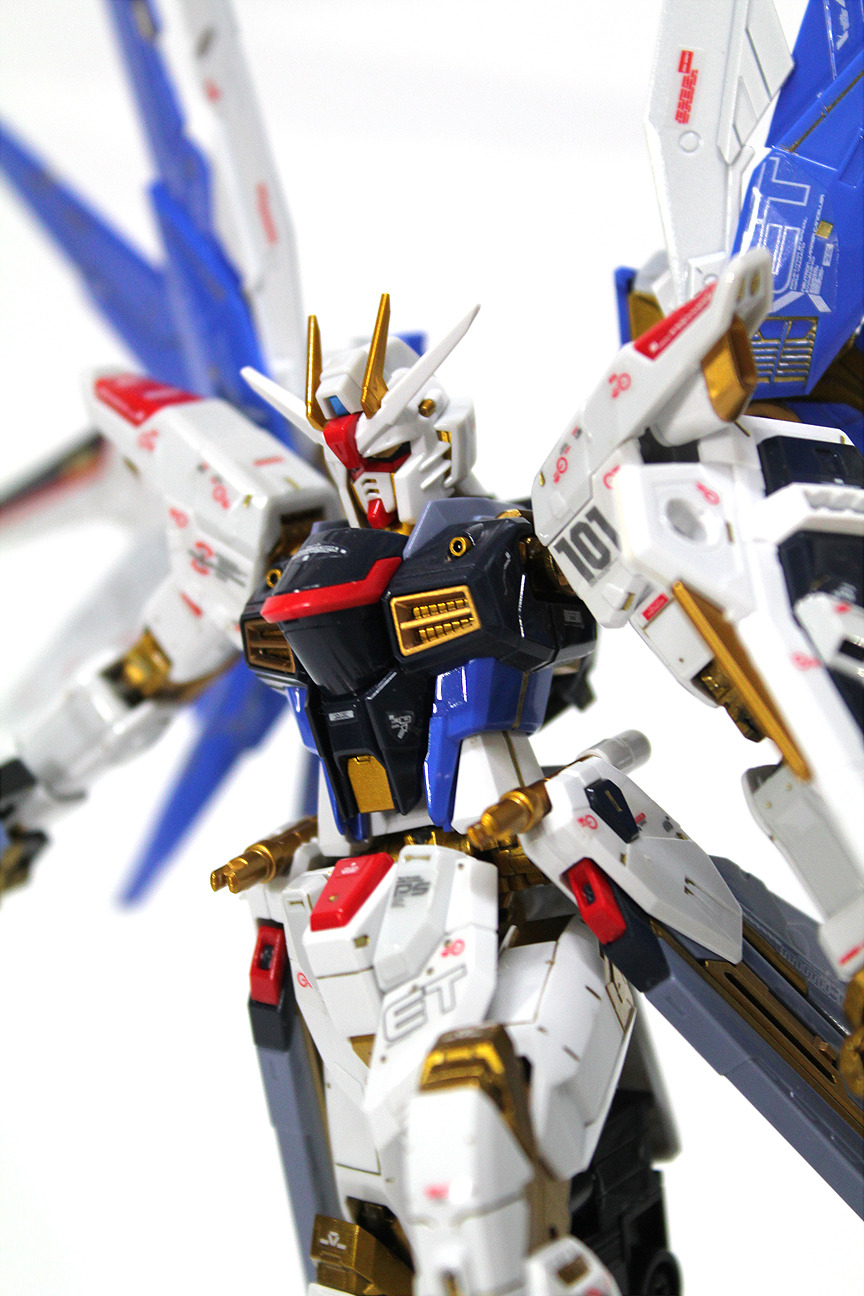 Custom Build: RG 1/144 Freedom Gundam "Gold Frame"