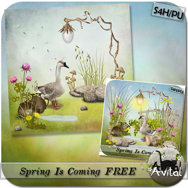 AvitalScrap: Spring Is Coming