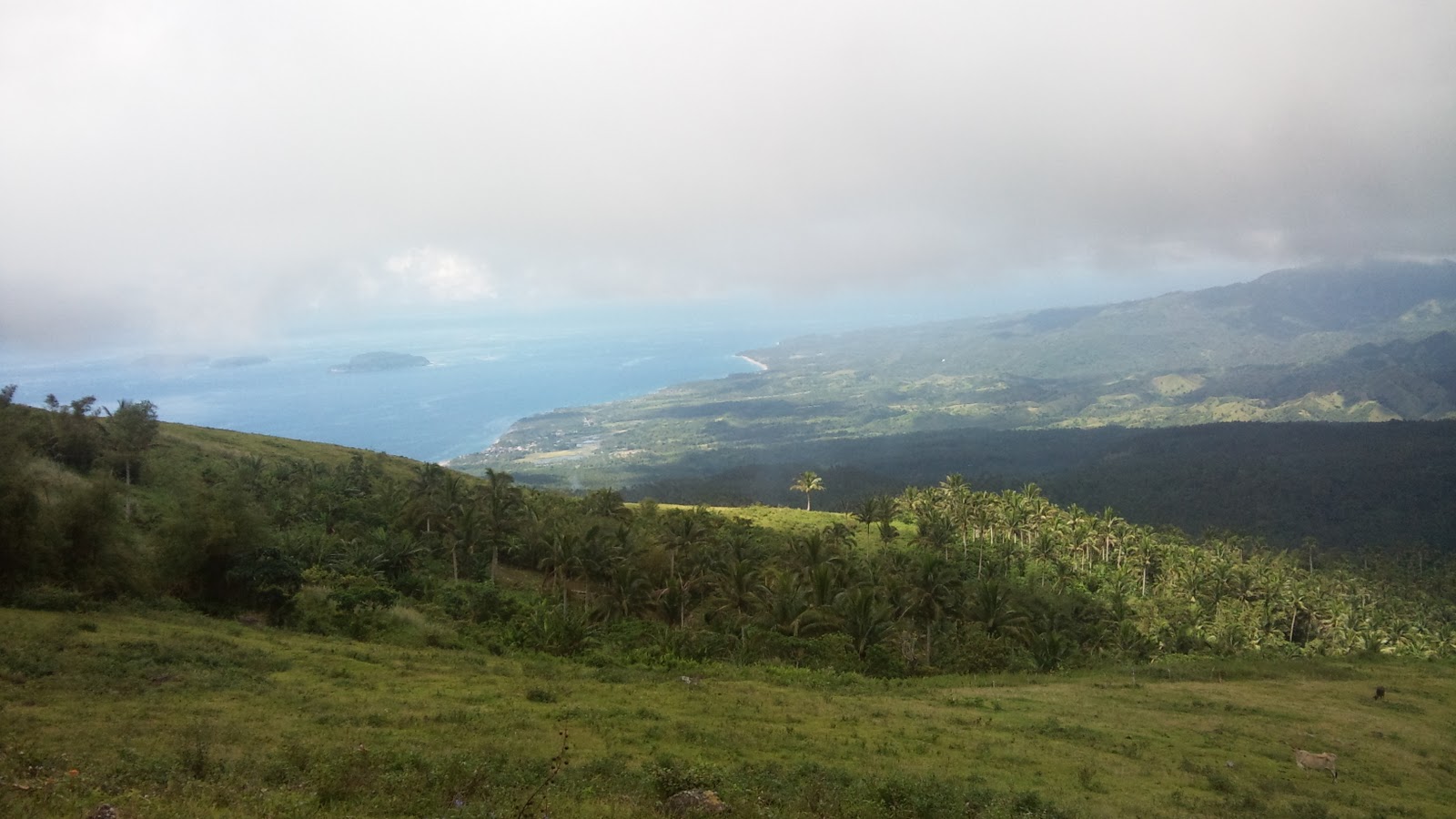 pork n vince: Mount Malindig, Marinduque - 1157 MASL