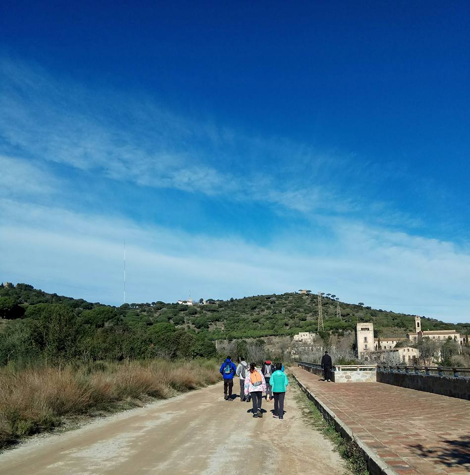 POBLADO IBÉRICO DE PUIG CASTELLAR
