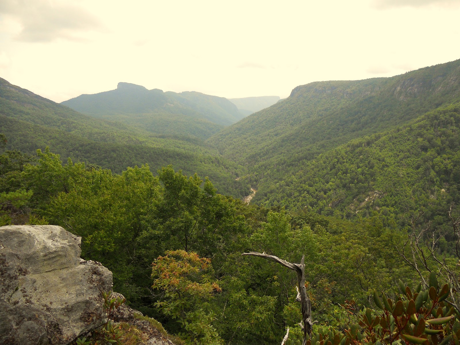 Hiking with a Fat Bald White Guy: Linville Gorge - Devils Cliff