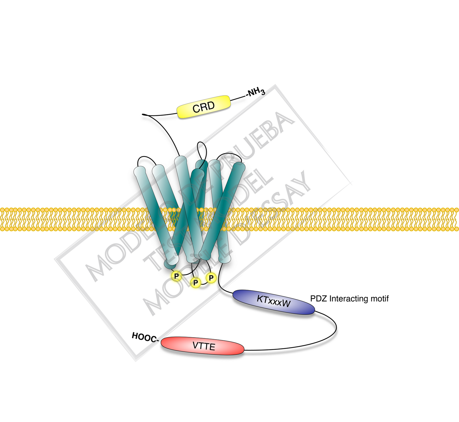Graphique Science (Chile): 2012