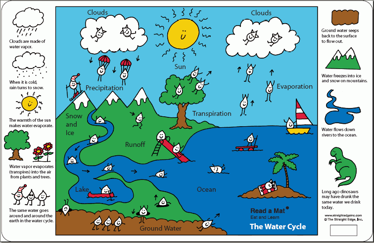 Beiler Biology: Water Cycle