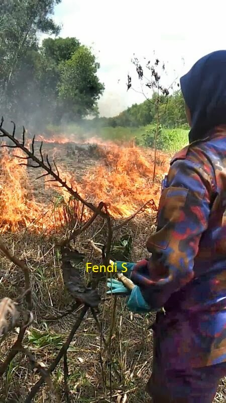 Brunei Fire&Rescue Department Appliances: Forest fire in Berakas