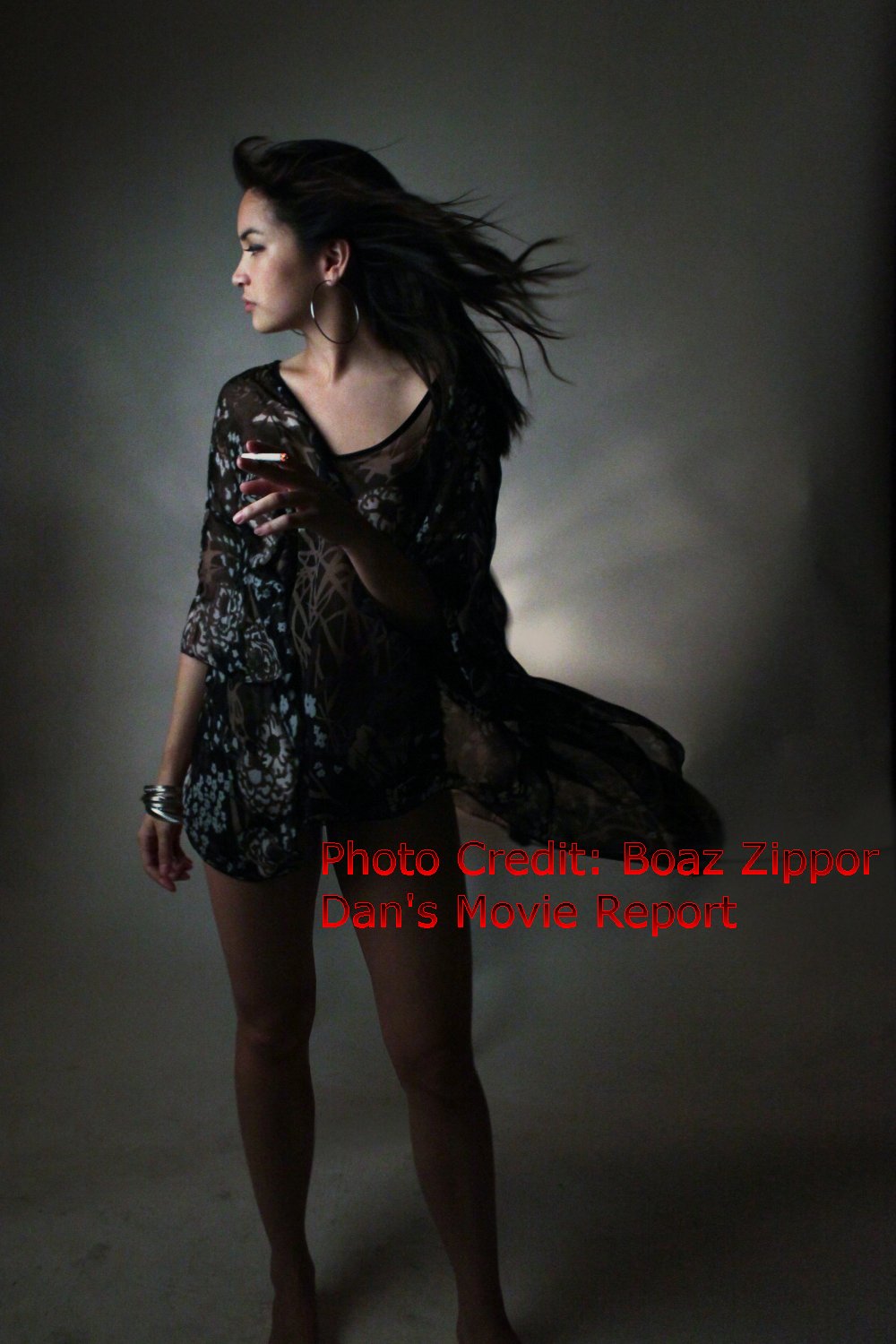 Dan's Movie Report: 1/4 Million Views! Exclusive Krystal Vee Photos ...