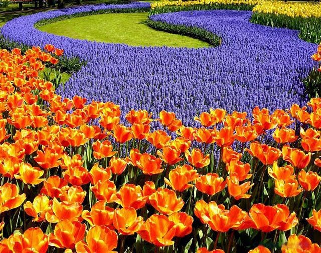 Nikmati Keindahan Taman Bunga - Relaks Minda