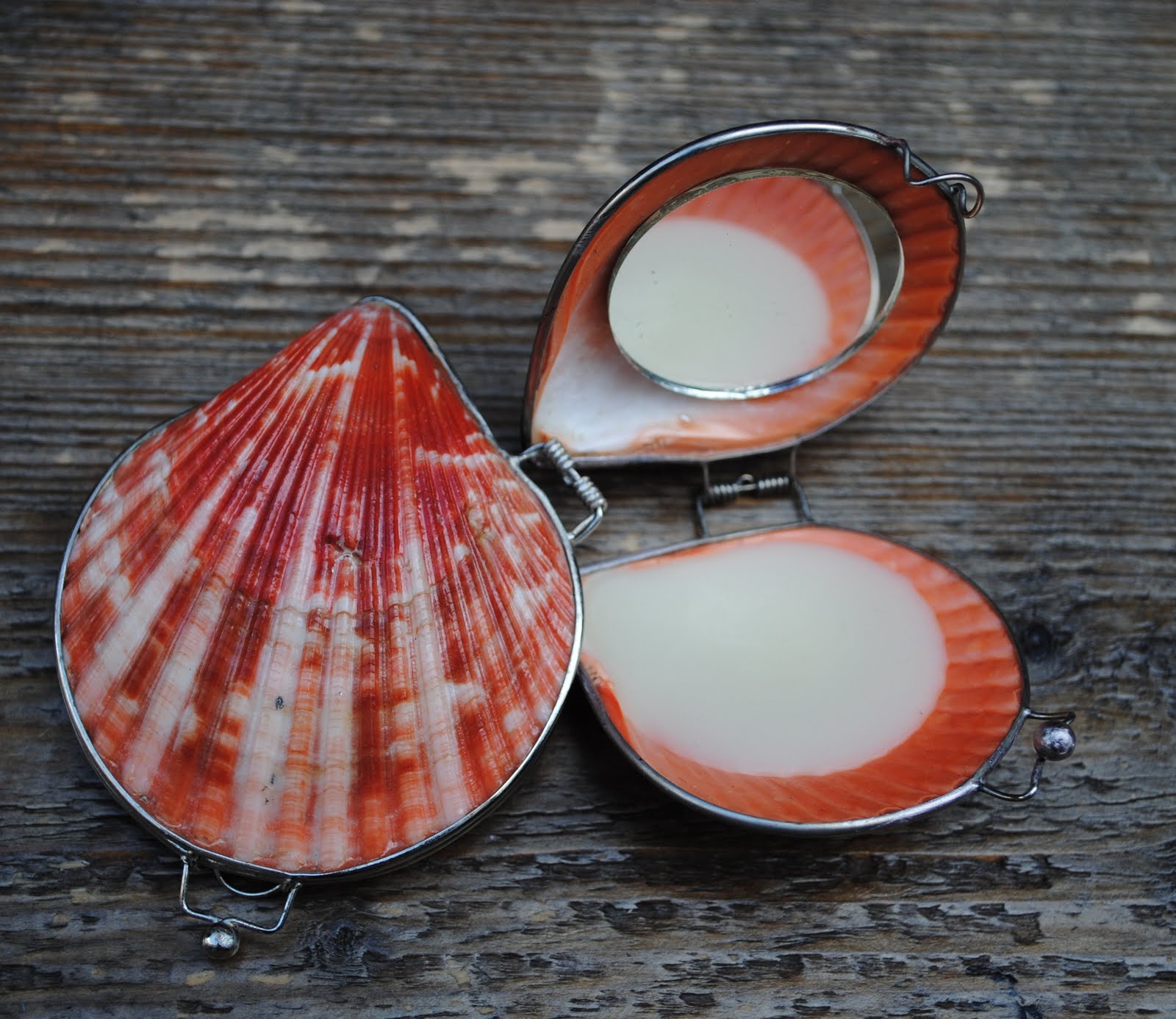 Shell Lip Balm UK: Shell Lip Balm Launches in the UK!