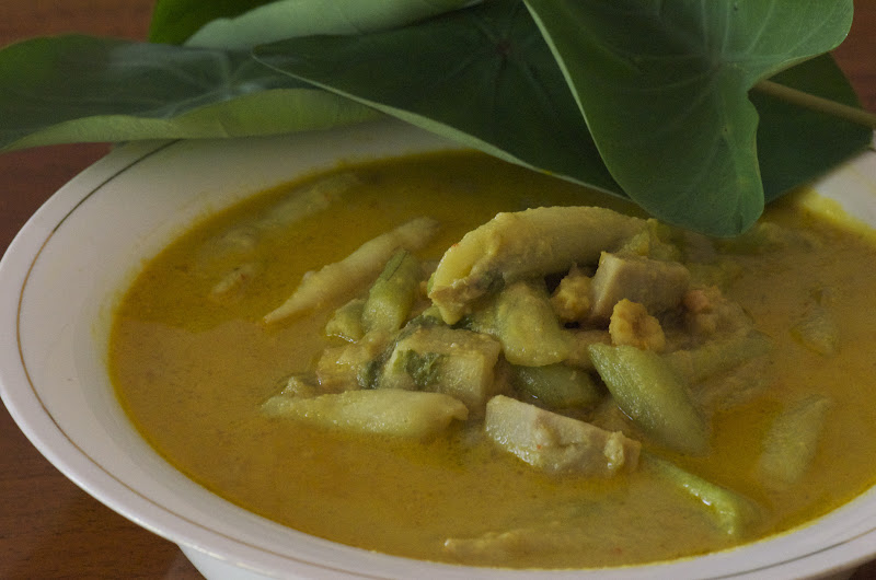 Indonesian Medan Food: Sayur Lompong (Yam Stalk cook in Coconut Milk)