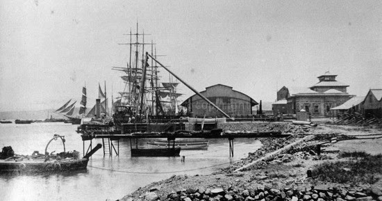 Mole's Genealogy Blog: Durban docks ca 1887