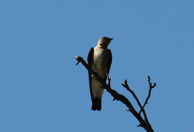 Nuestro bello mundo...: Fotos tomadas en el parque Nacional Henry ...