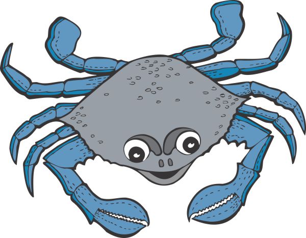 Buom Cua Con Gai - JungleKey.fr Image