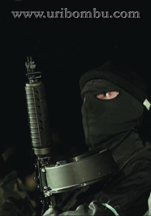 Guerrillas in the Midst: FLNC