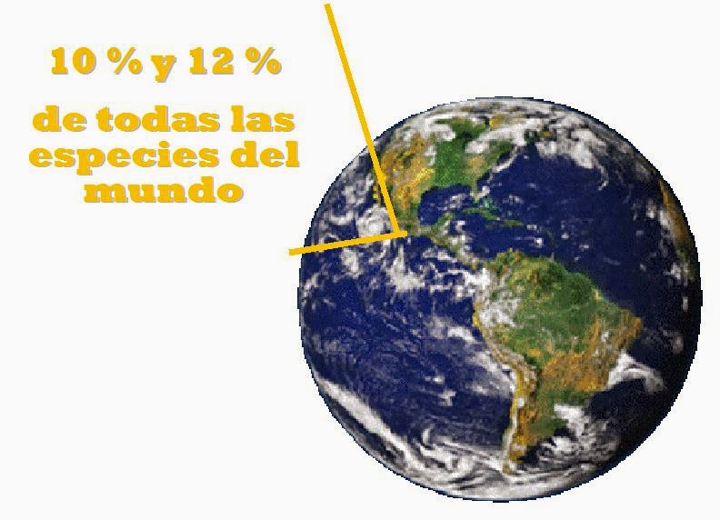 Factores geológicos y geográficos que afectan la biodiversidad en ...