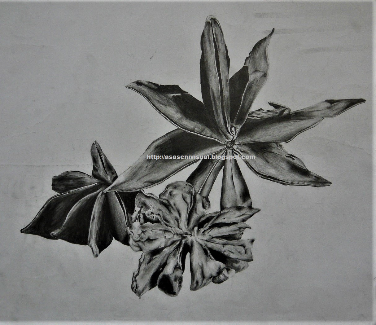 Asas Seni Visual, FSSR Uitm Perak: PAMERAN 'FUNCTIONAL GREEN PUBLIC ART ...