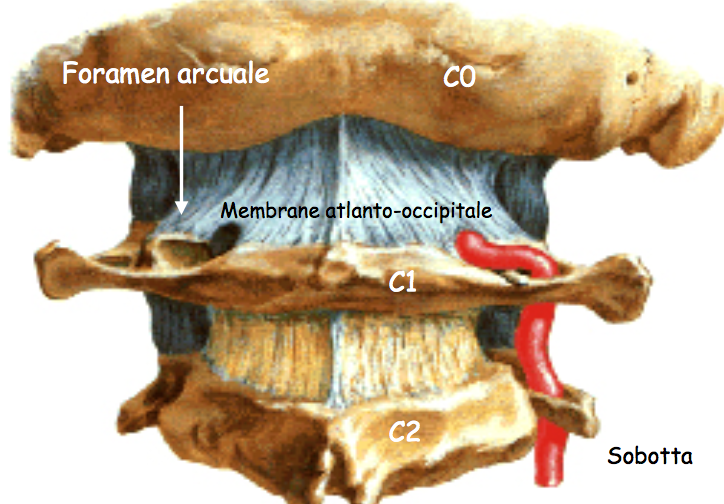 Un médecin du sport vous informe: 08.15.2016