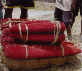 Fruit Warehouse: Red fruit ( Pandanus conoideus )