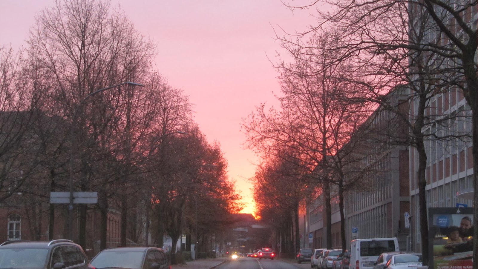 The Life and Times of a (Trainee) Geologist: Bremen Core Repository