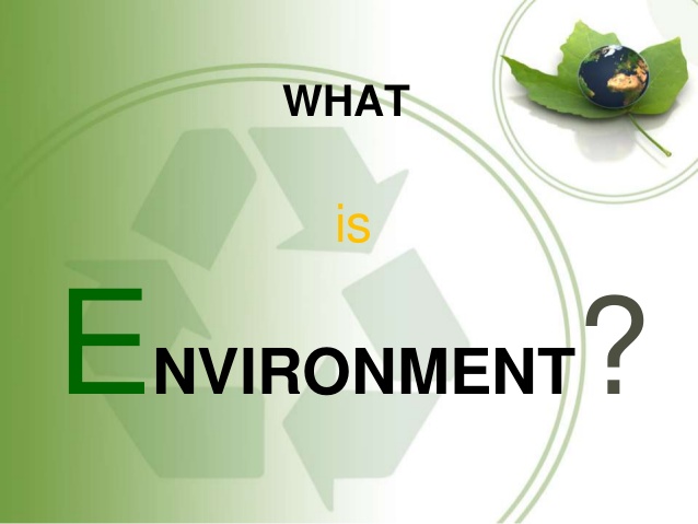 Ciencia Science 3 What Is Environment ciencia-science-3-what-is-environment