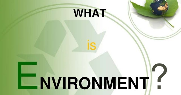 ciencia science 3: What is environment?