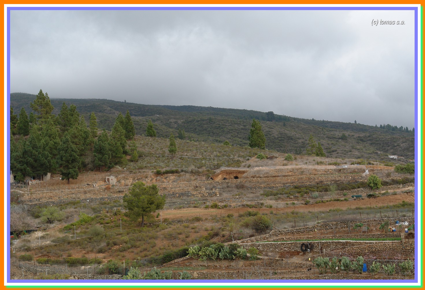 Tenerife senderos......: TENERIFE SENDEROS --GUIA ISORA-- EL JARAL -LAS ...