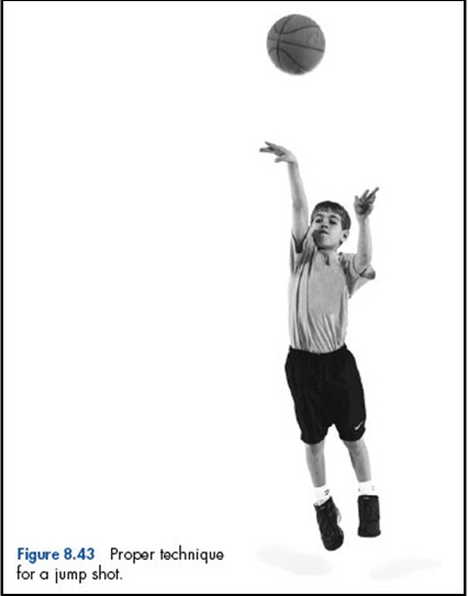 Access to Healthy Active Living (PPL10): Basketball