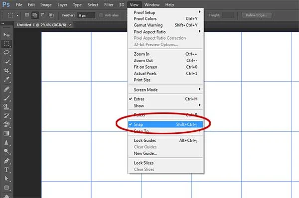 PhotoEffect: How To Make a Grid and Guides in Photoshop