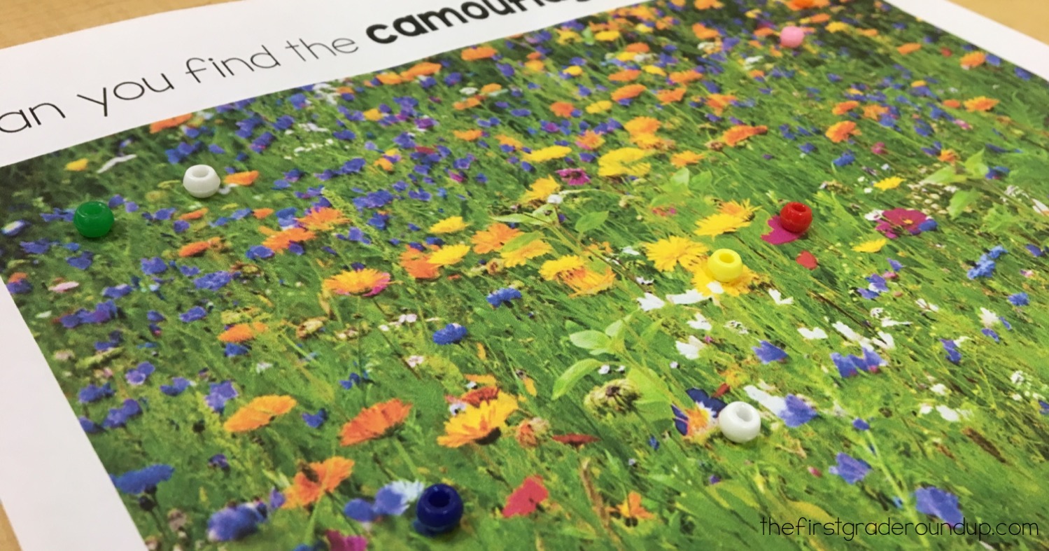 8 animal adaptations science stations 1st graders beg to do - The First ...