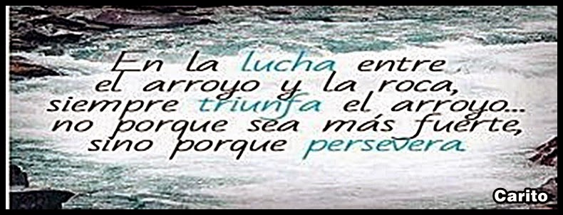 "Persevera y triunfarás"