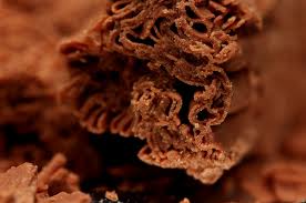 BishopBlog: Flaky chocolate and the New England Journal of Medicine