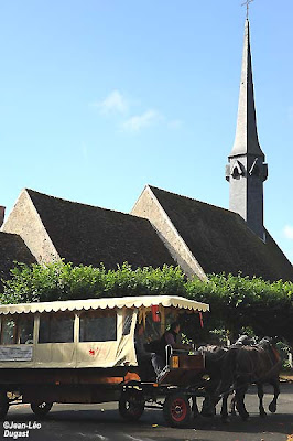 Percheron International: L'Hippobus En Action