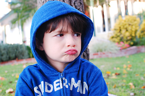 the Bolander Bunch: The Many Faces of Joey