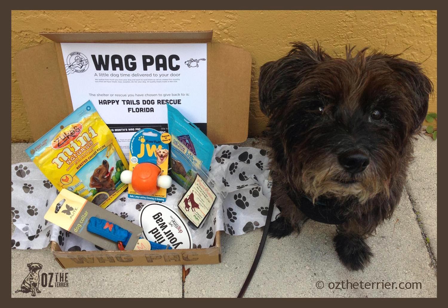 More Swag from Wag Pac | Oz the Terrier - Lifestyle Dog Blog