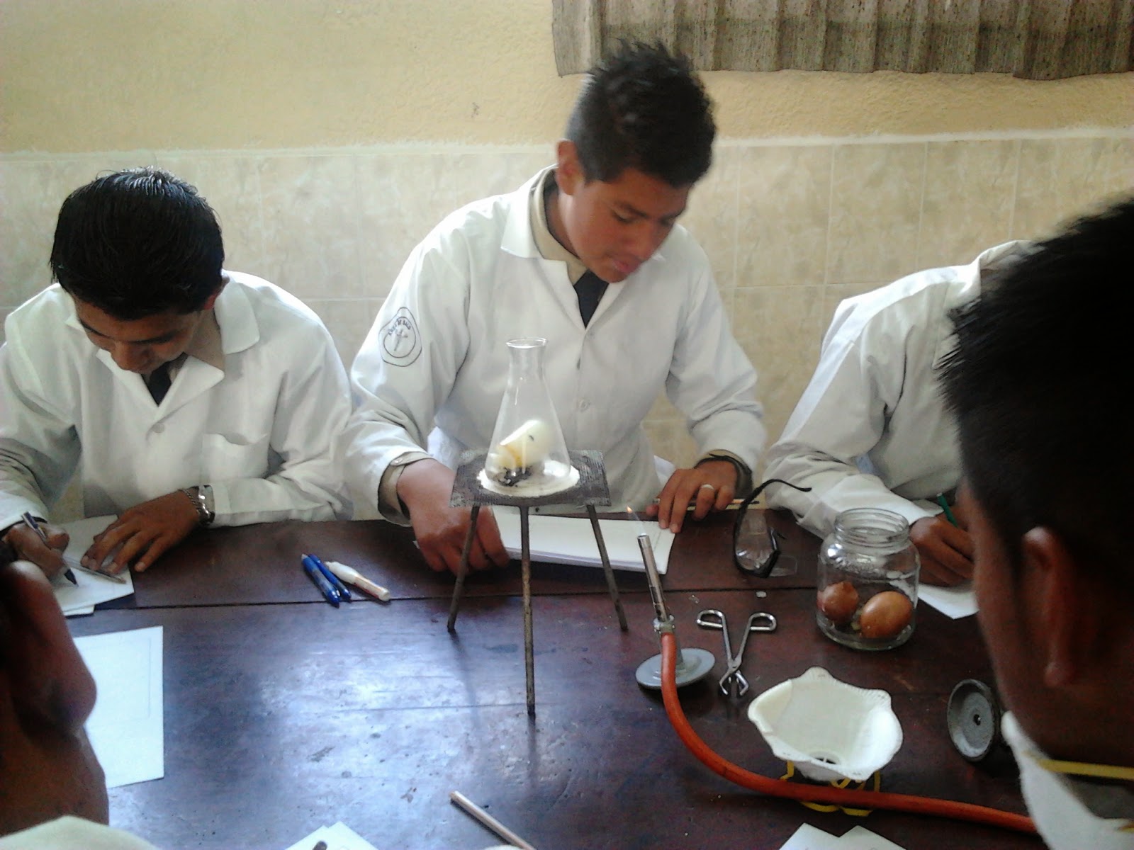 LABORATORIO DE BIOLOGIA QUIMICA Y CIENCIAS NATURALES: RECUERDITOS DEL LABORATORIO