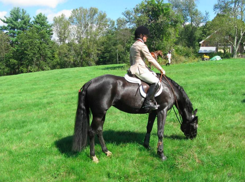 Tuckaway Farm Fox Hunt