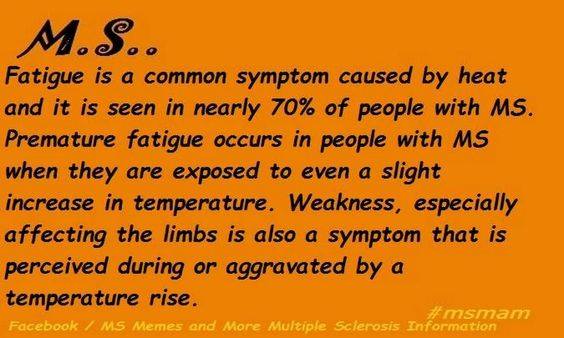 Mal's Gherkin Pram: MS Fatigue