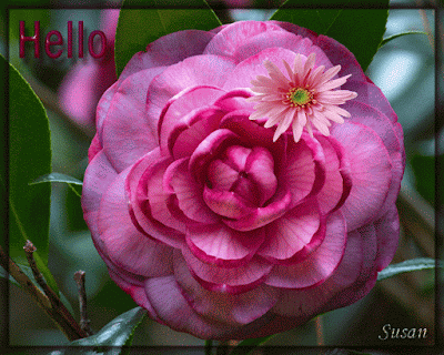 Animaciones y Gif: Hola - Hello