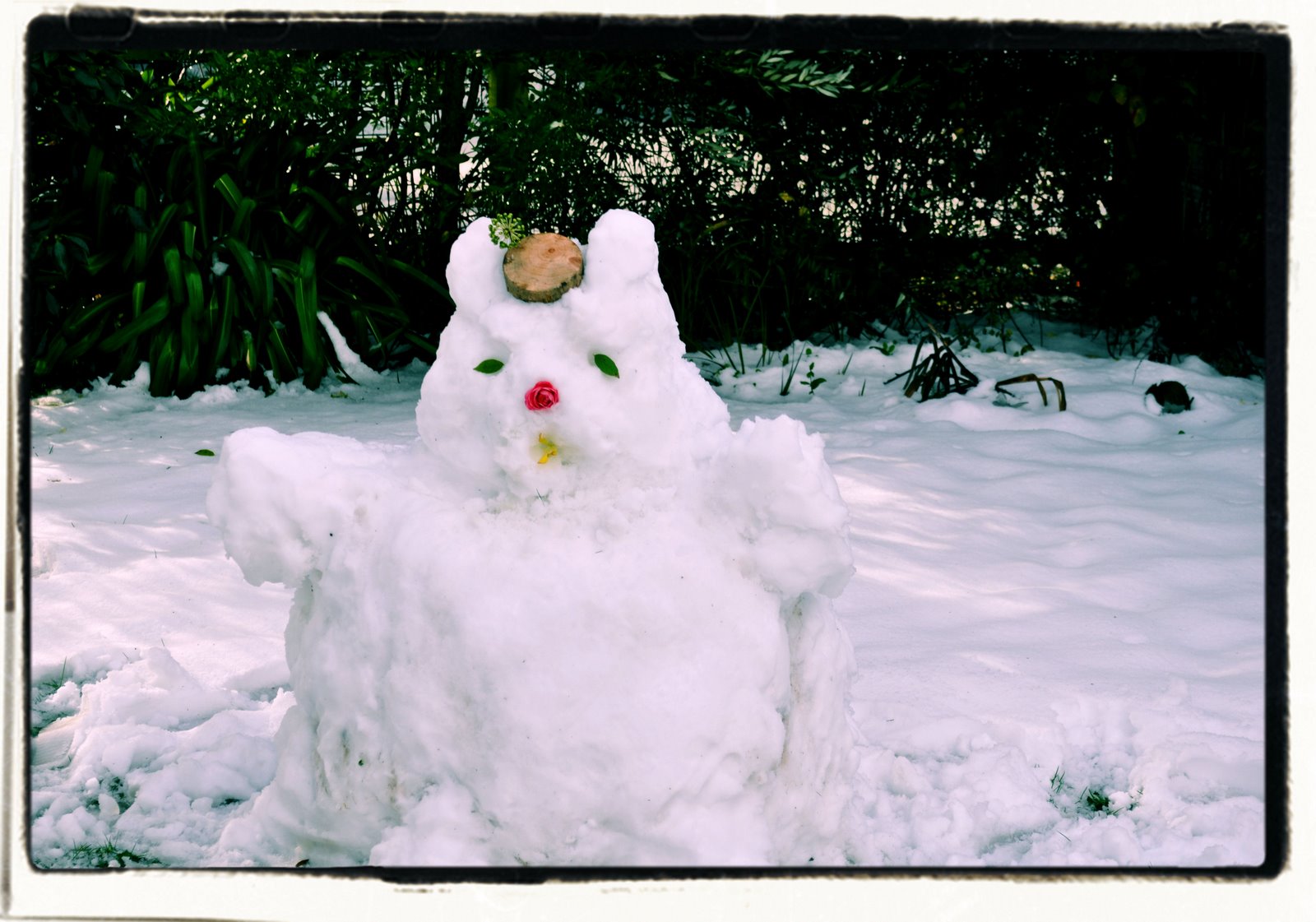 Dutchcorner: July 2011