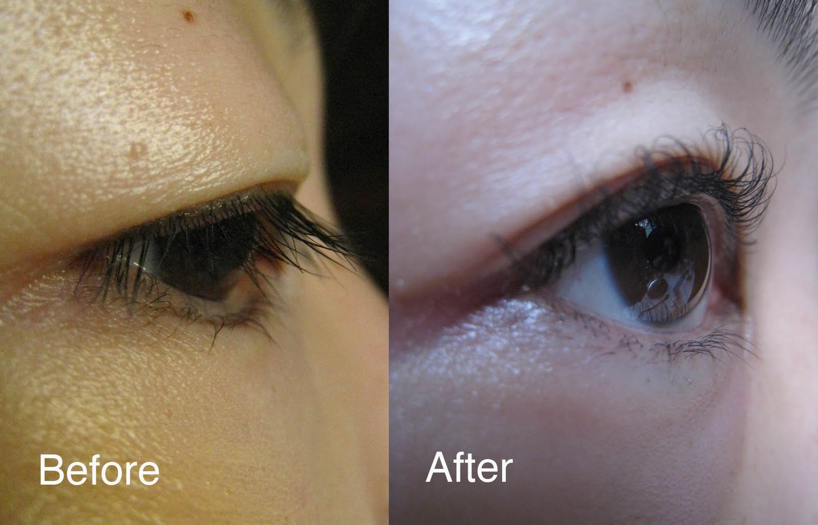 Beauty Glitz and Glamour: Eyelash Perming~!