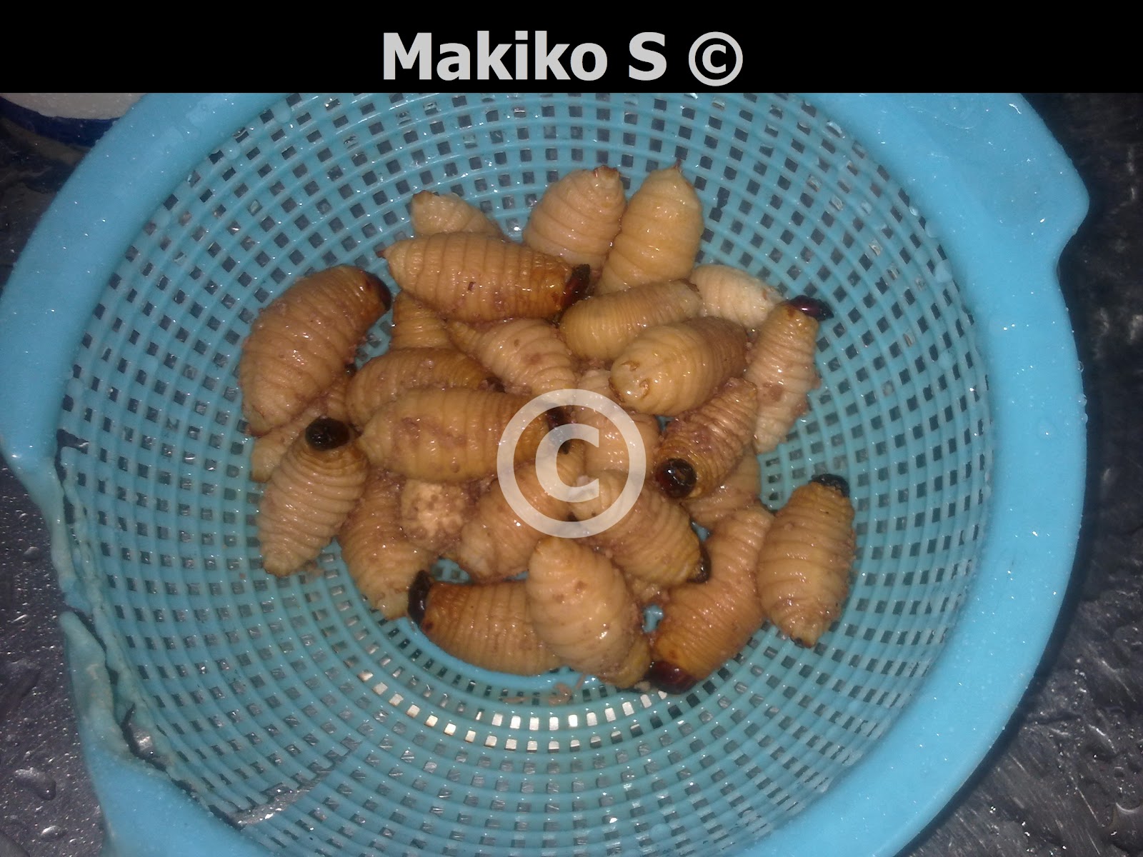 Finger food versus sago worms ~ Makiko Saba: The World is Too Small to ...