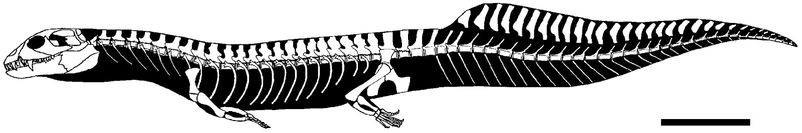 Waxing Paleontological: D&D Monsters of the Triassic