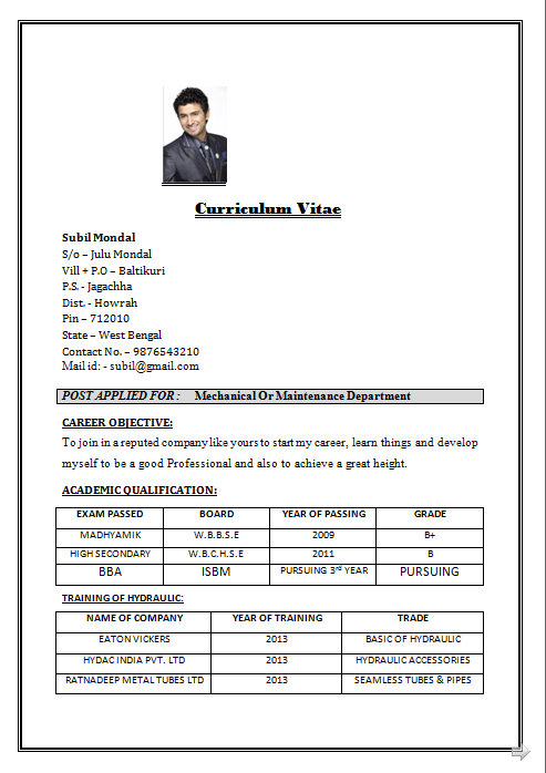 Dynamic Resume: Good Resume Format For BBA
