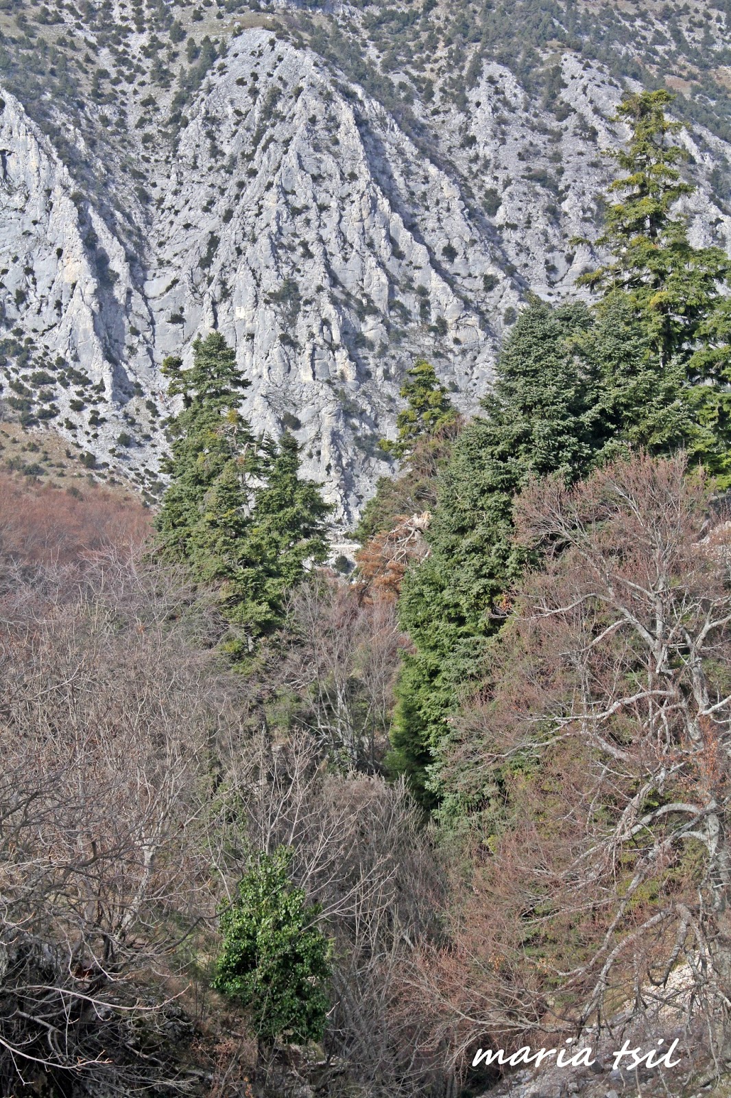 ΜΙΑ ΒΟΛΤΑ ΣΤΗΝ ΣΠΗΛΙΑ ΤΟΥ ΚΙΣΣΑΒΟΥ | TRIPS AND DREAMS by MARY