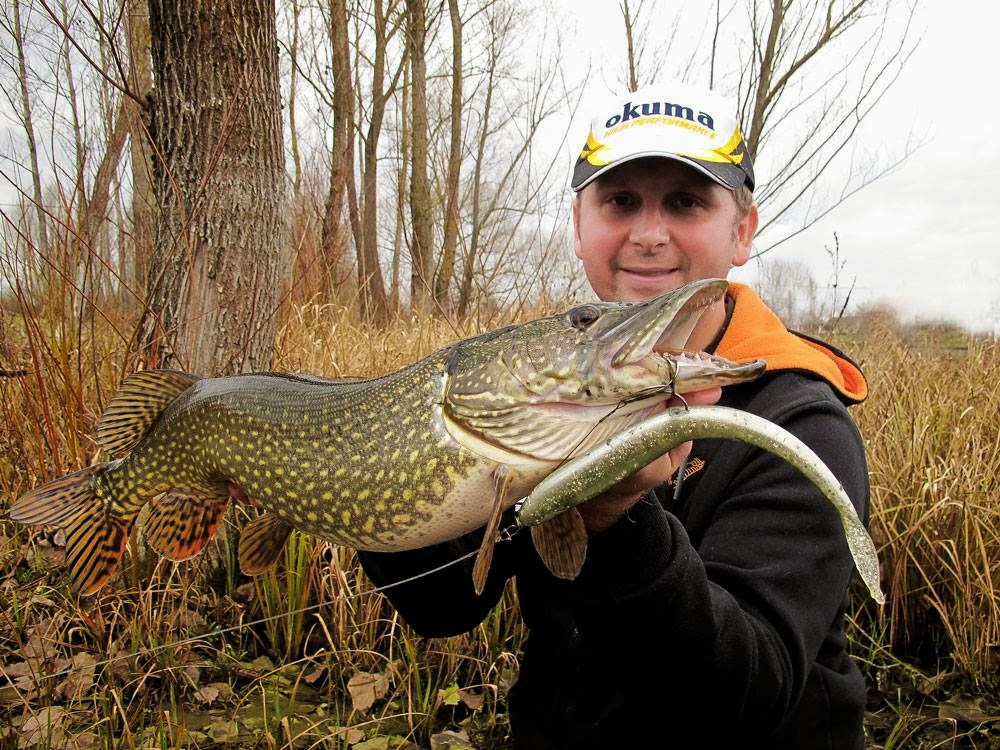 Savage Gear Monster Slug - PreOrder Now @ GAC! ~ Fishingmegastore Blog