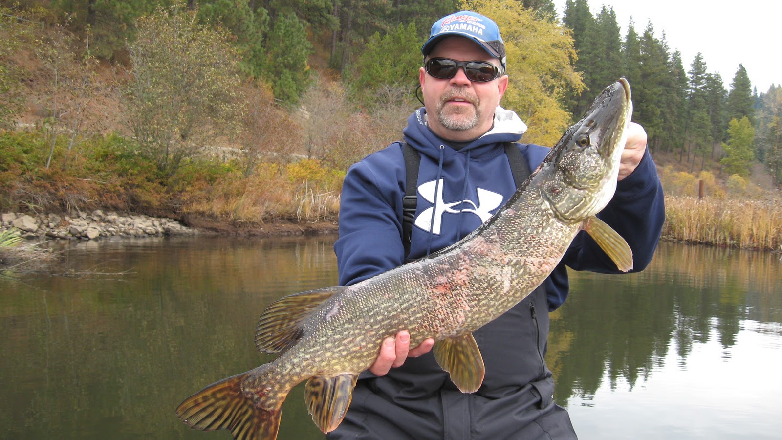 Forever Fishing Washington State: Northern Pike Anyone?